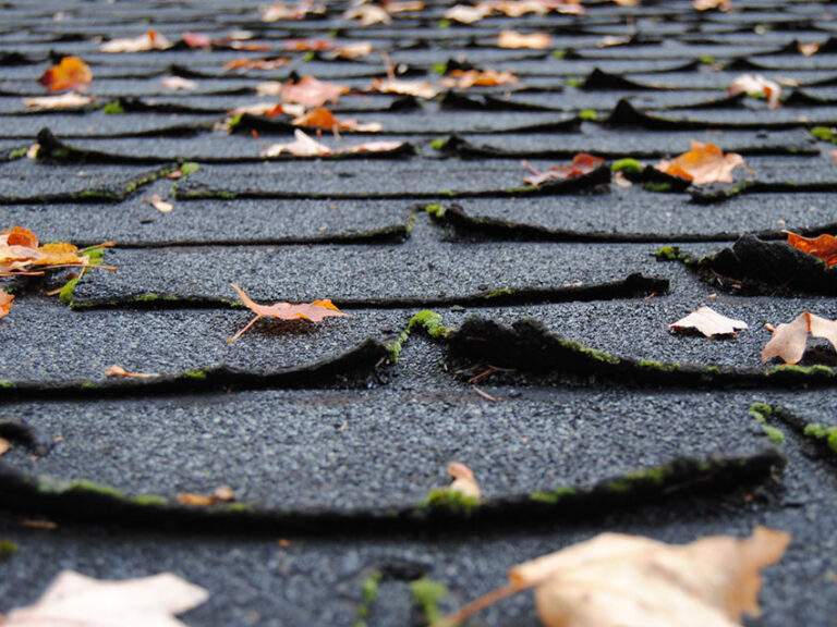 How to Tell if it’s Time to Replace Your Shingles | Tadlock Roofing
