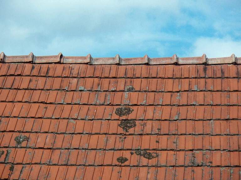 Homeowner Learns the Real Price of a Cheap Roof | Tadlock Roofing